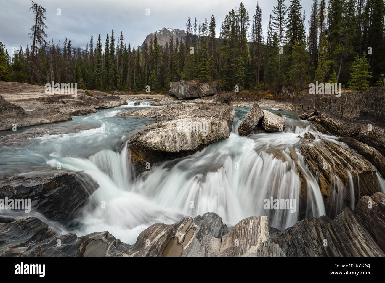 Natural bridge yoho national park hi-res stock photography and images ...