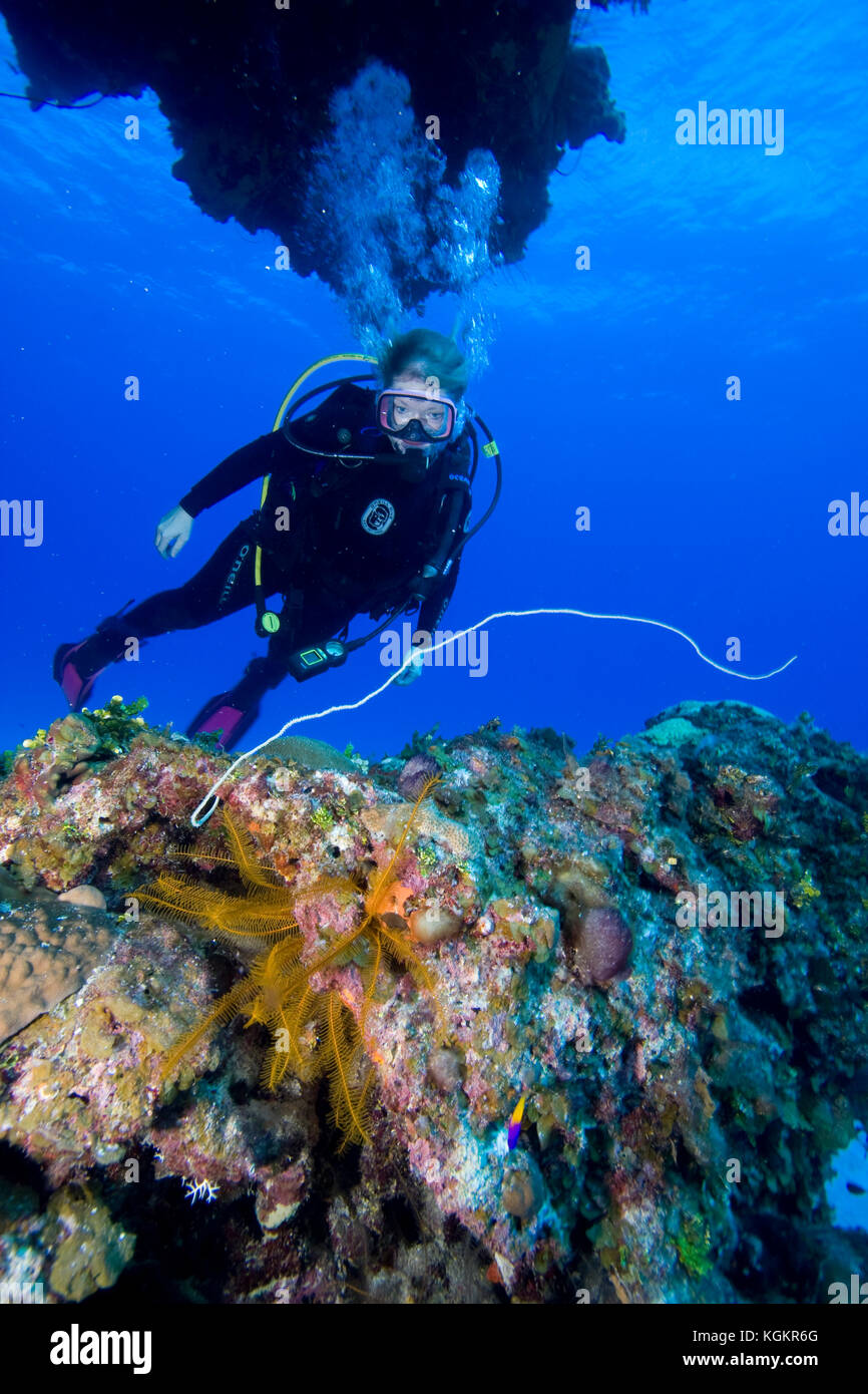 Cave Rock, Eleuthera, Bahama Islands Stock Photo - Alamy