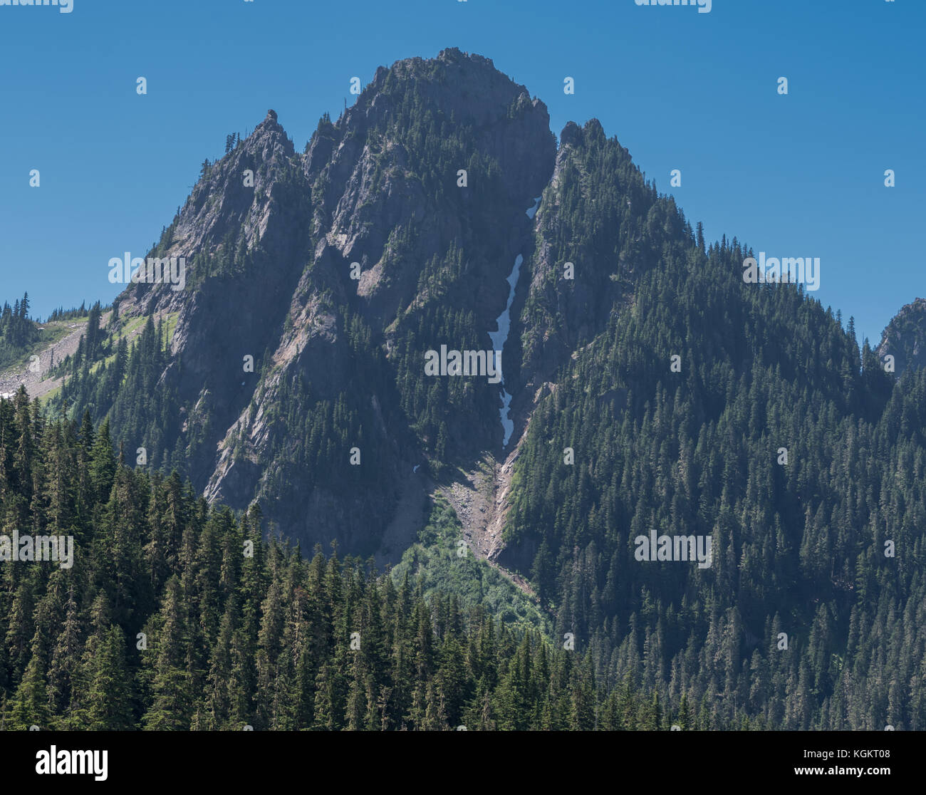 Top of The Pinnacle in Mount Rainier National Park Stock Photo - Alamy