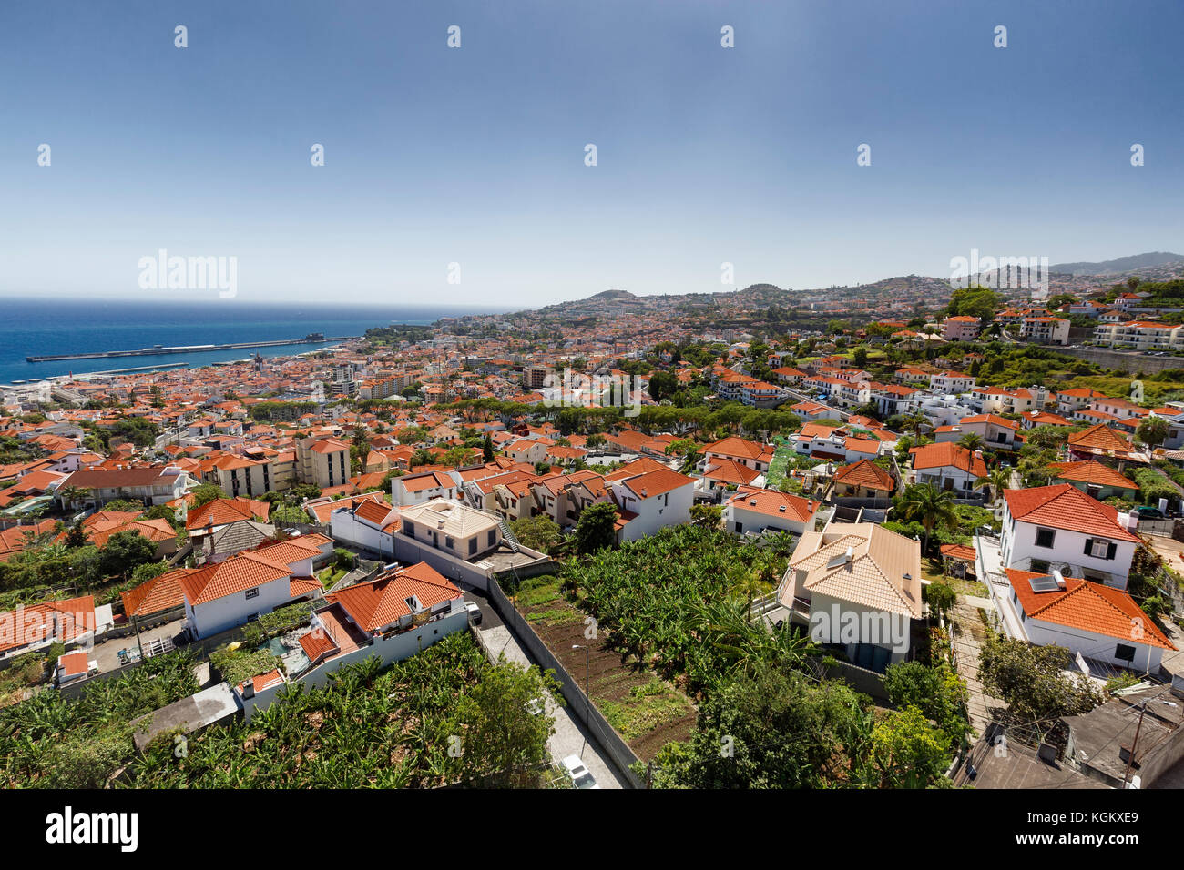 Arial view of crops growing near residential houses in the city of ...
