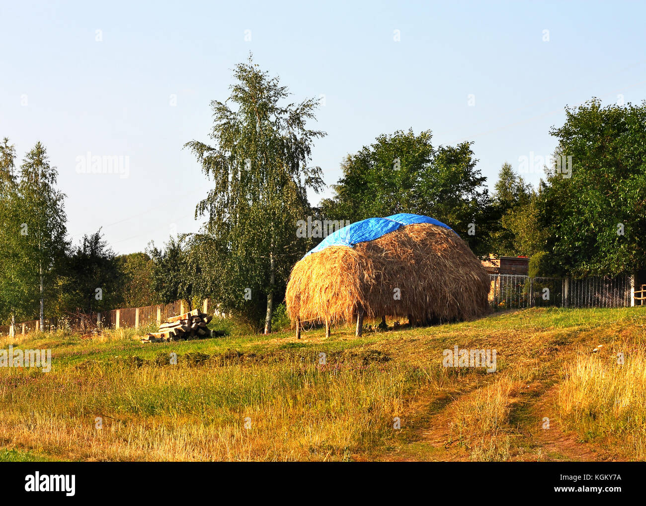 Haystack covered on top from a rain on a background of the rural ...