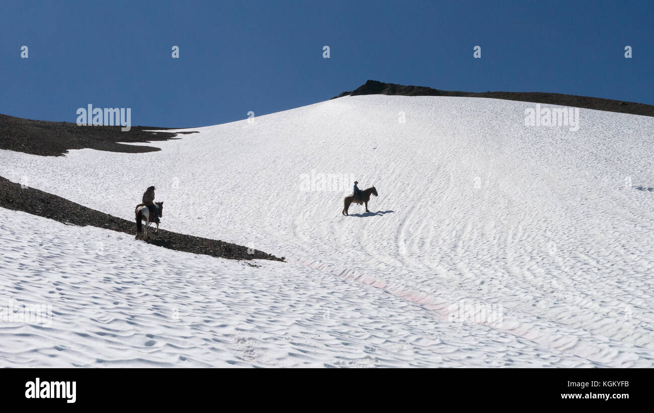Adventurous riders on their trusty Cayuse horses riding up a snow pack ...