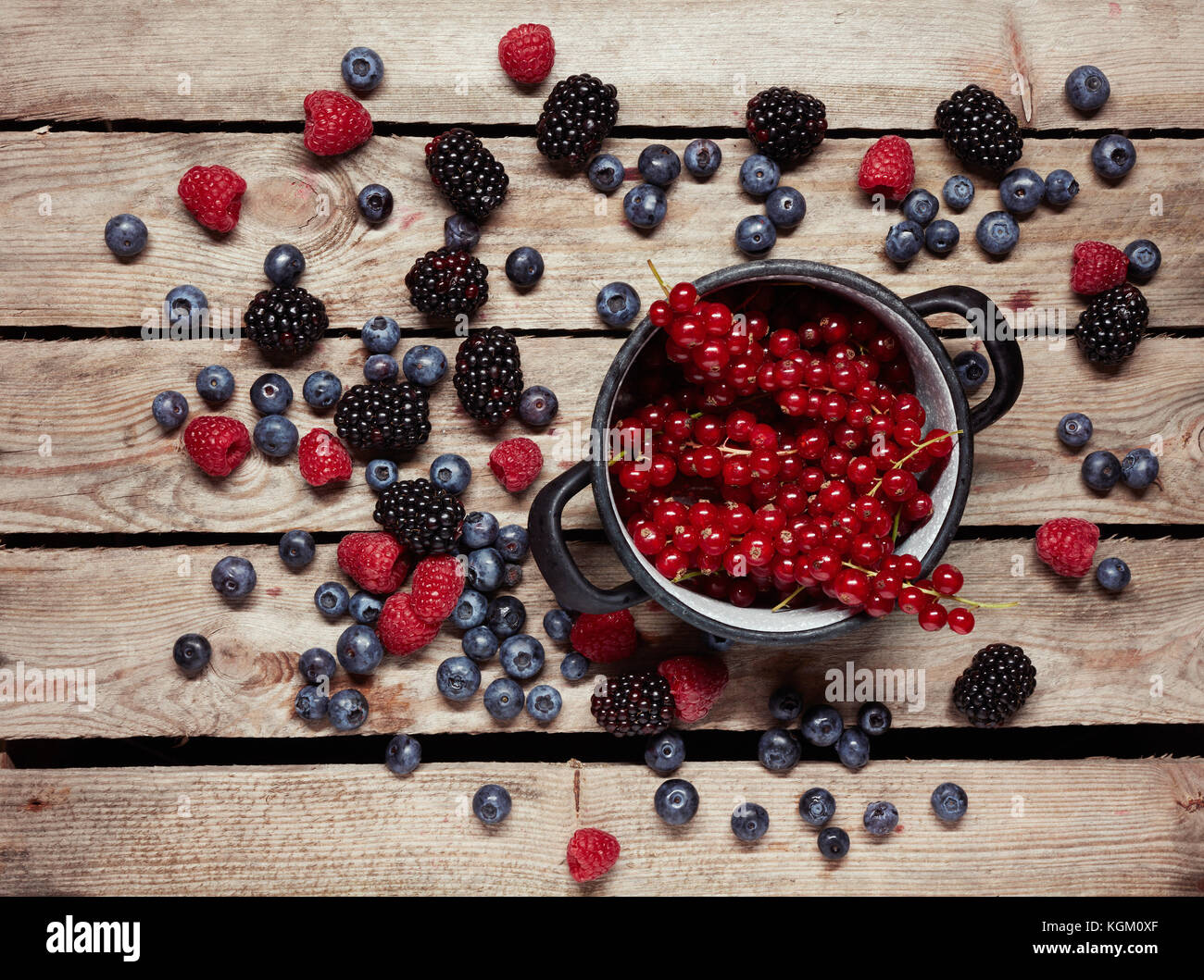 Red currant in container hi-res stock photography and images - Alamy