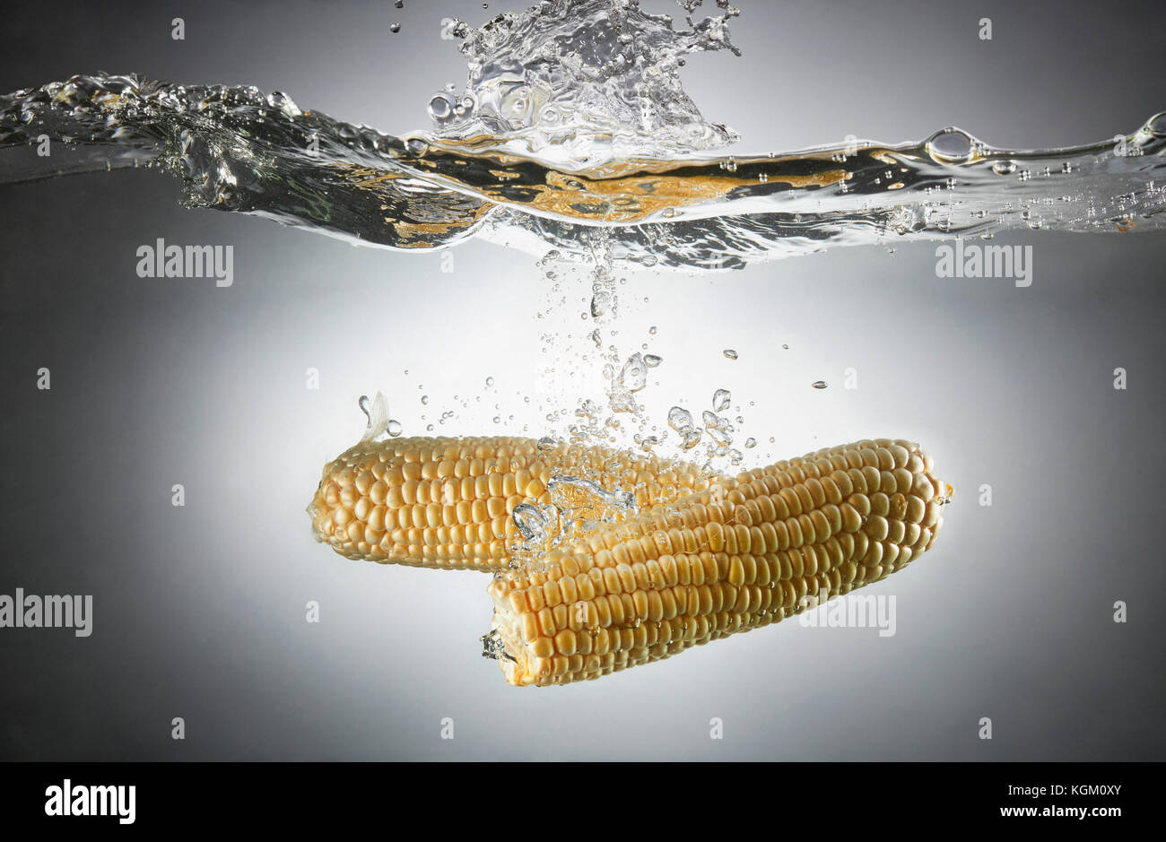 Close-up of sweet corns in splashing water Stock Photo - Alamy