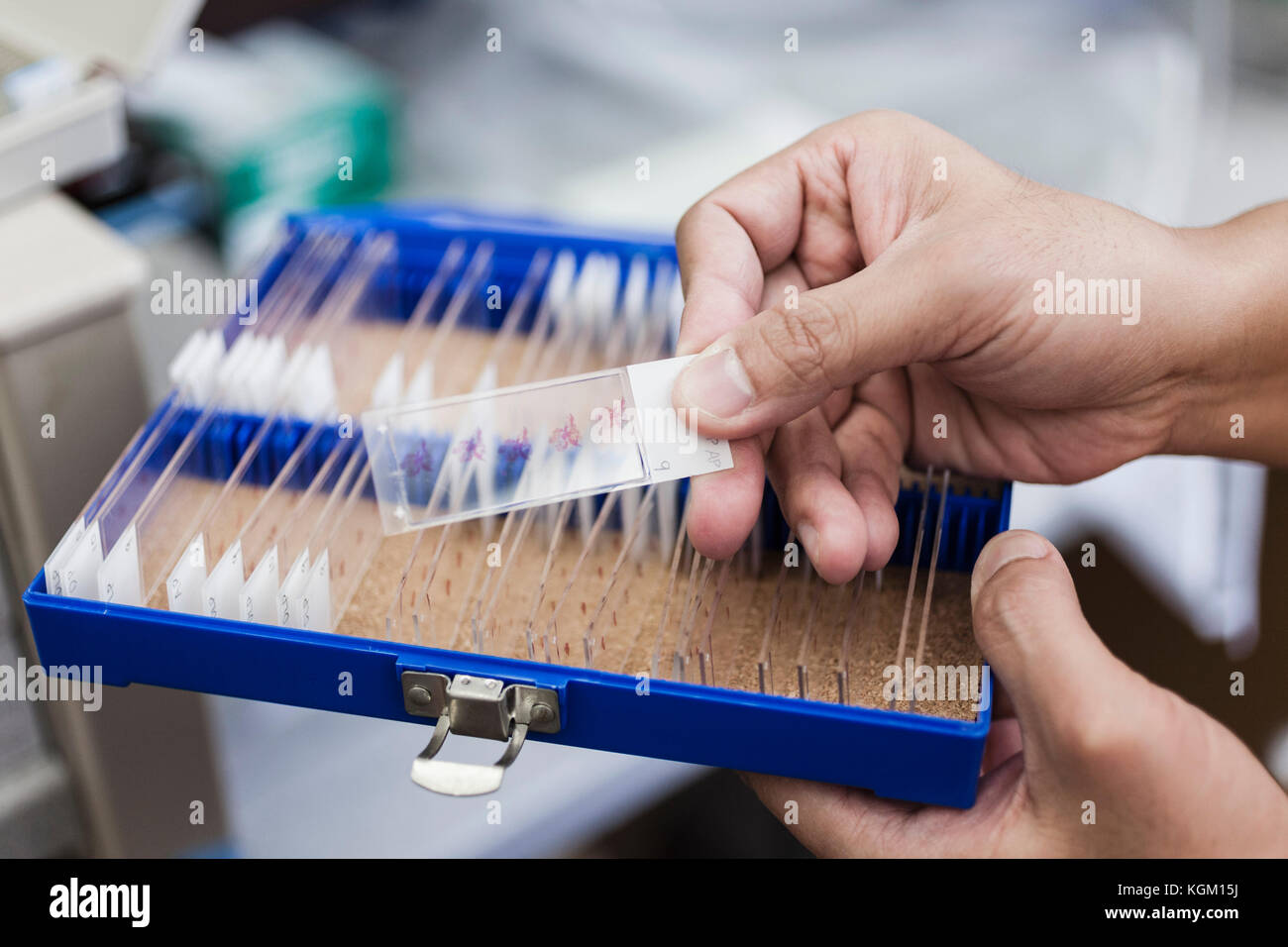 Cropped image of scientist holding microscope slide over box at ...