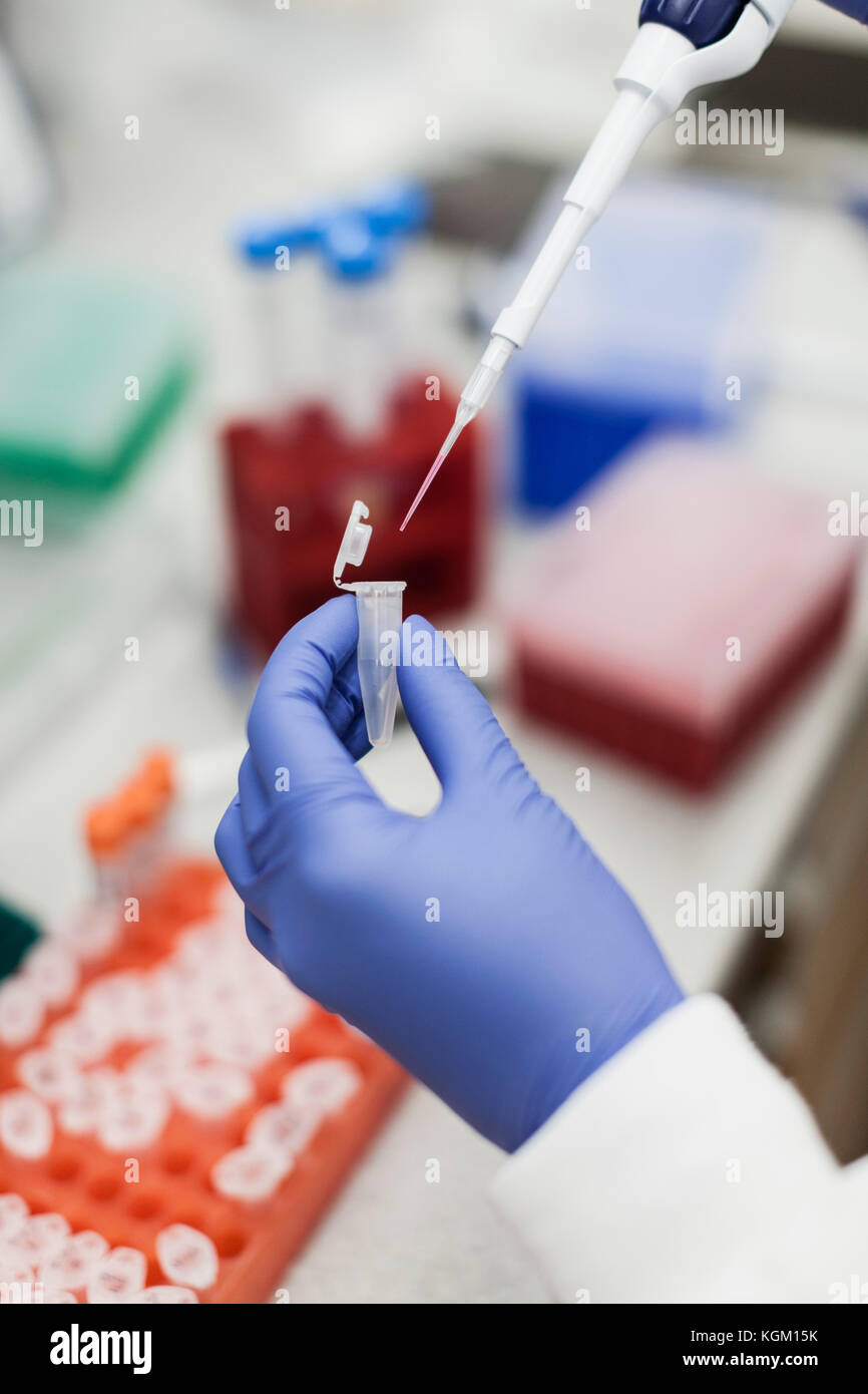 Cropped image of scientist pouring liquid into vial at laboratory Stock ...