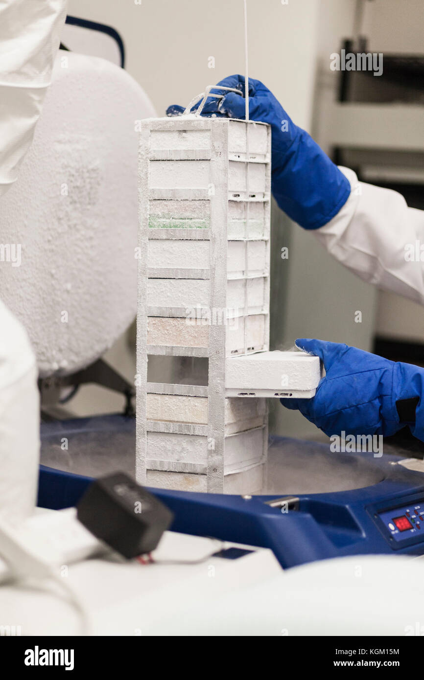 Cropped image of scientist holding frozen storage compartment at ...