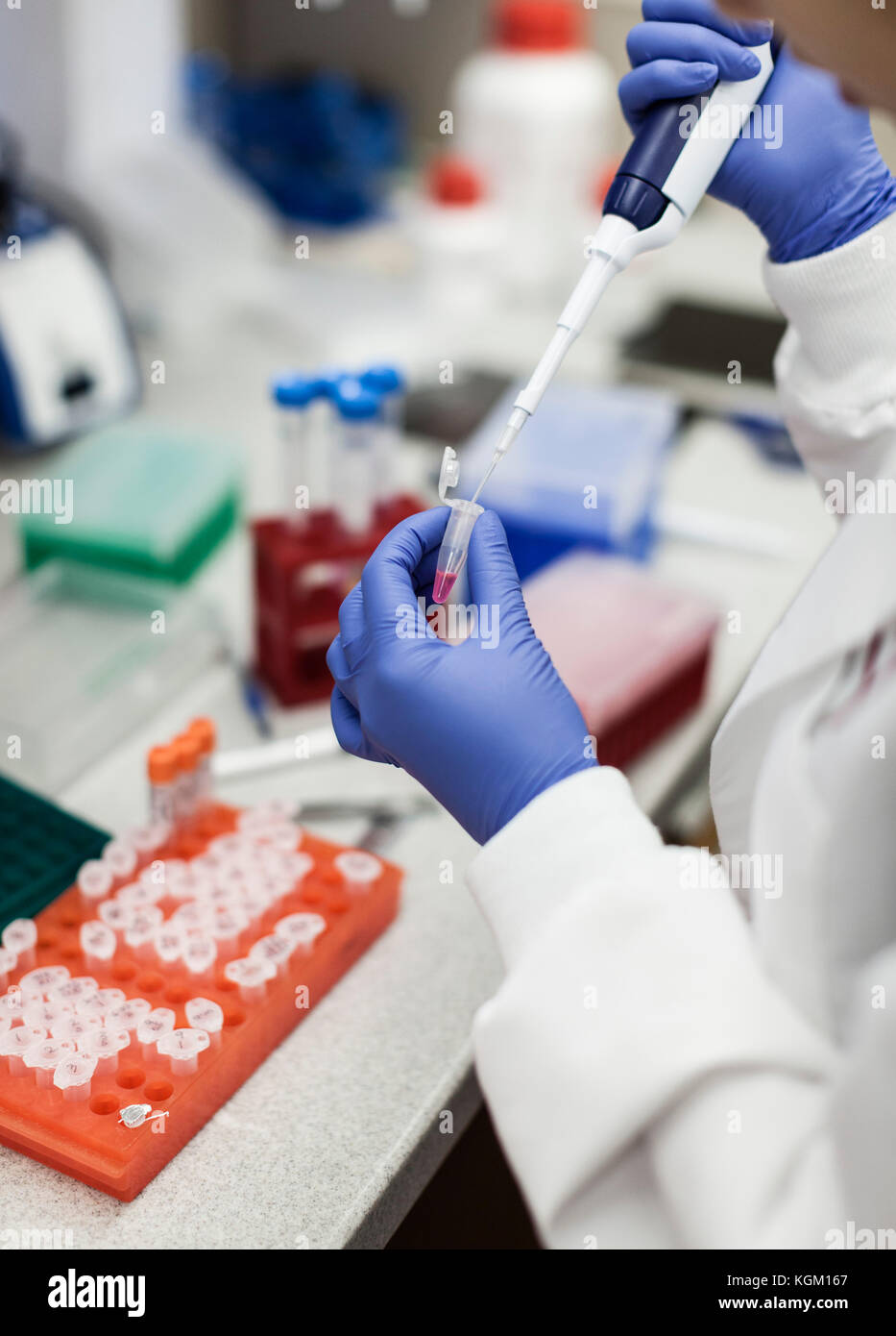 Scientist holding sample looking through hi-res stock photography and ...