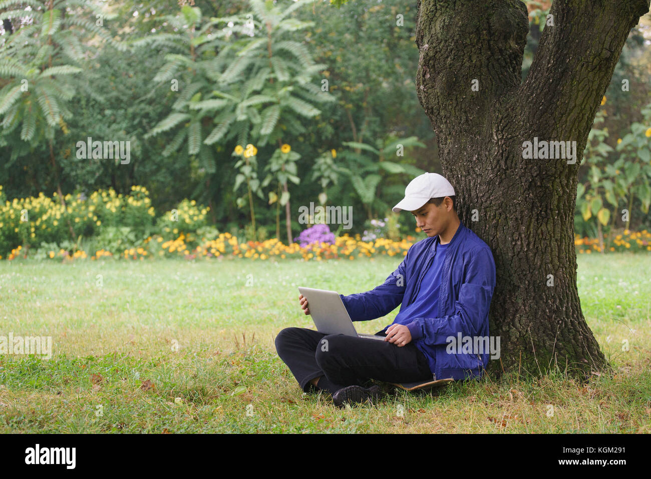 Young man using laptop while sitting by tree on grassy field at park ...
