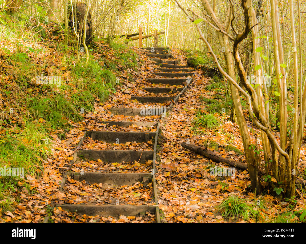 Poynton hi-res stock photography and images - Alamy