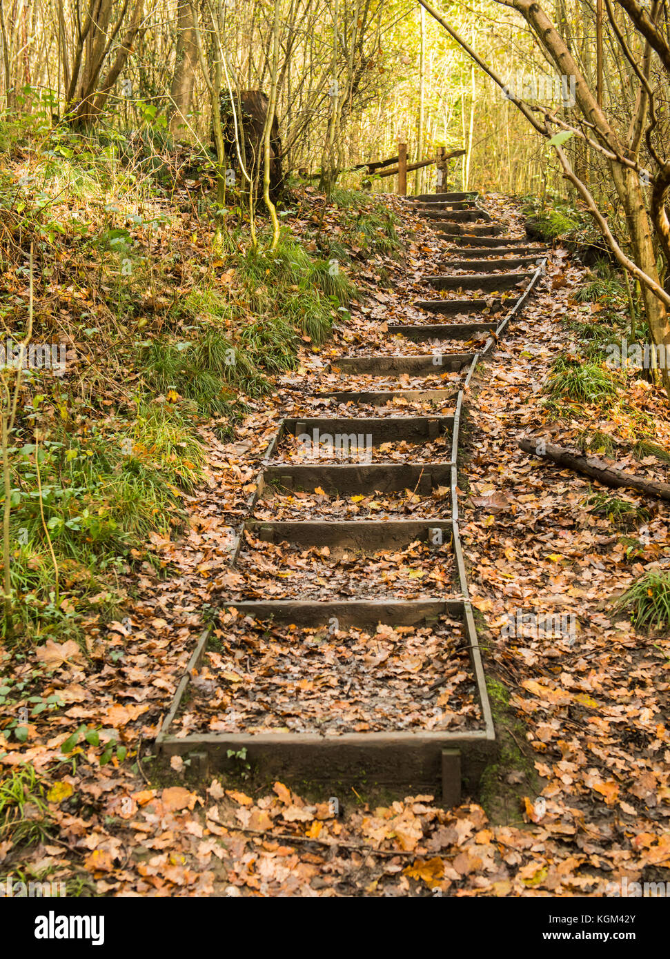 Poynton Cheshire High Resolution Stock Photography and Images - Alamy