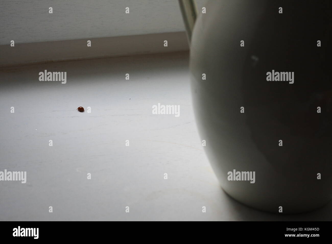 Lady strange hi-res stock photography and images - Alamy