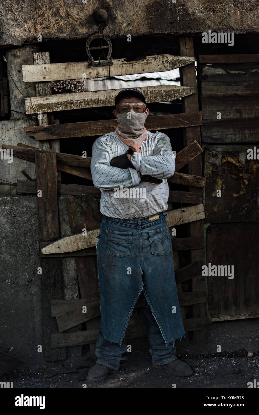 Coppersmith High Resolution Stock Photography and Images - Alamy