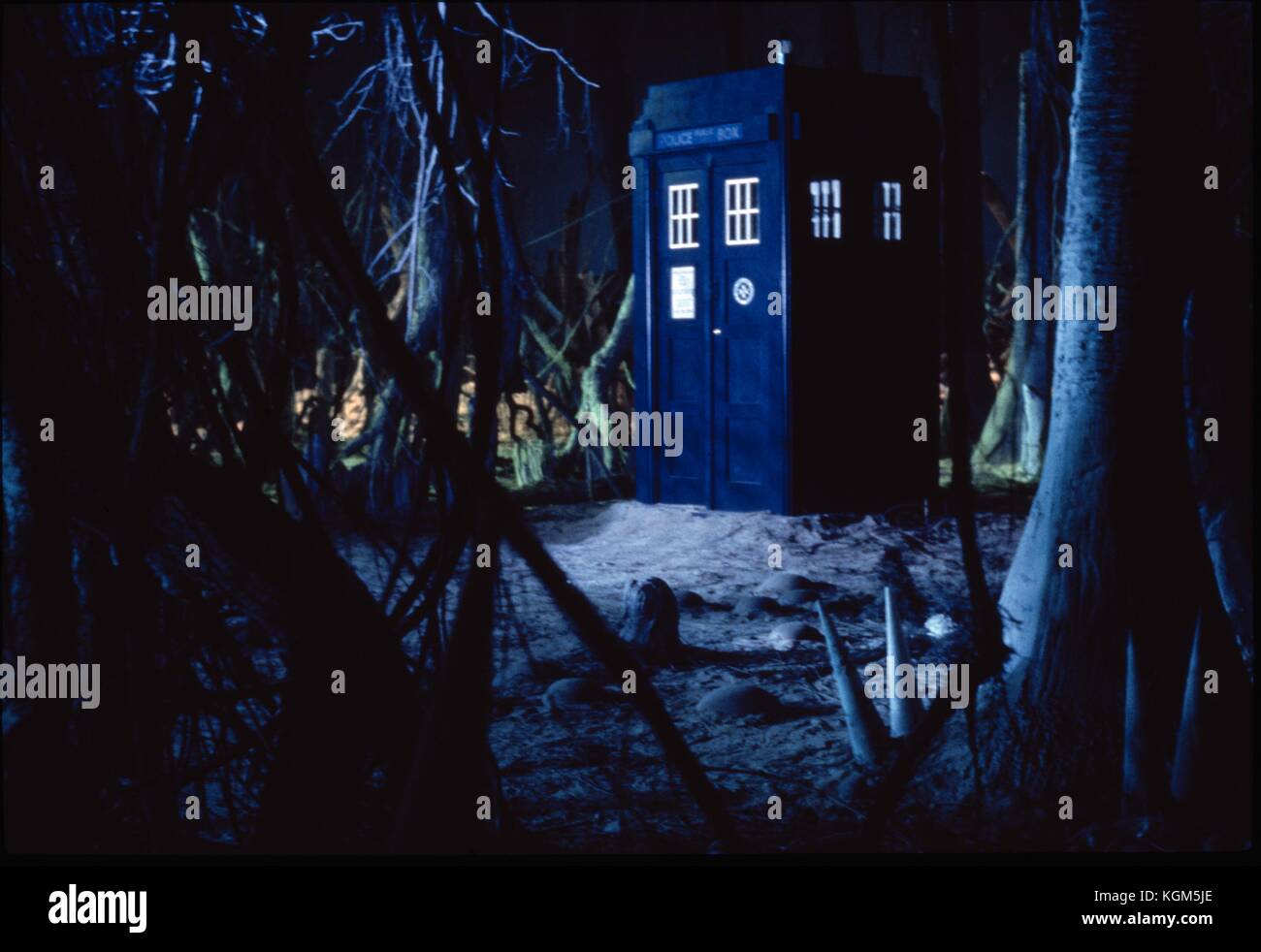 Doctor Who Movie Tardis