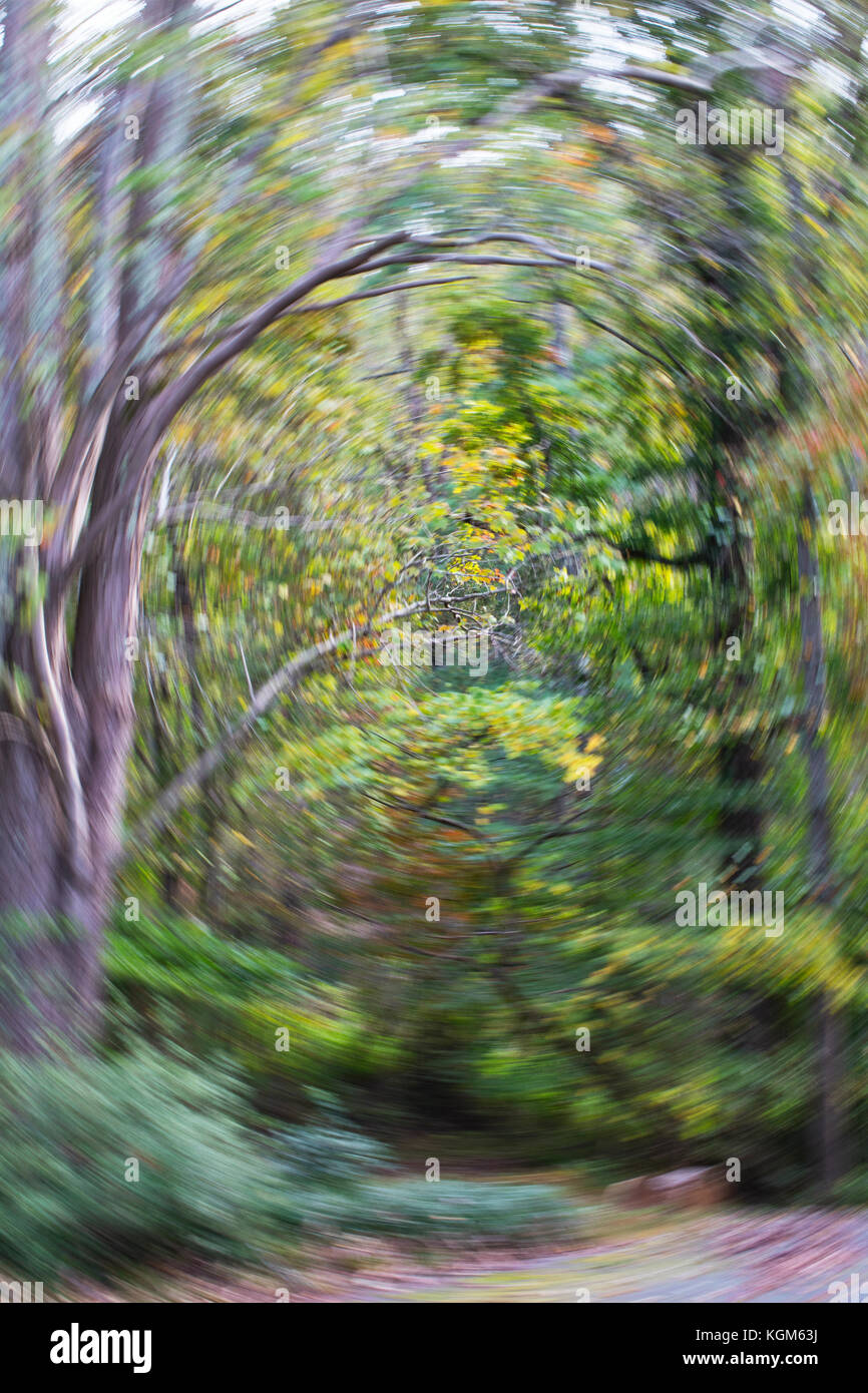 Streaking hi-res stock photography and images - Alamy