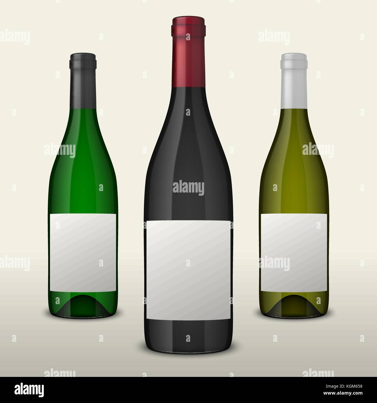 Empty Wine Bottle Vector