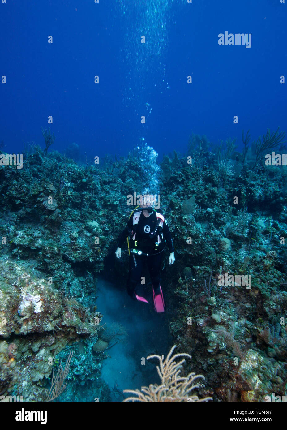 Diver emerging from reef cave, Exumas, Bahama Islands Stock Photo - Alamy