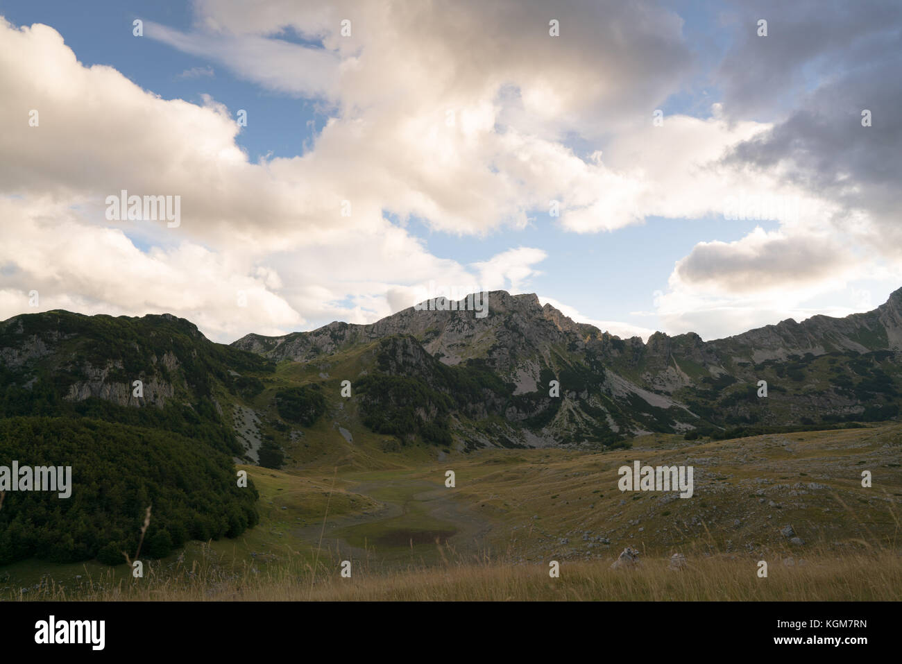 spring mountains in Durmitor national Park Stock Photo - Alamy