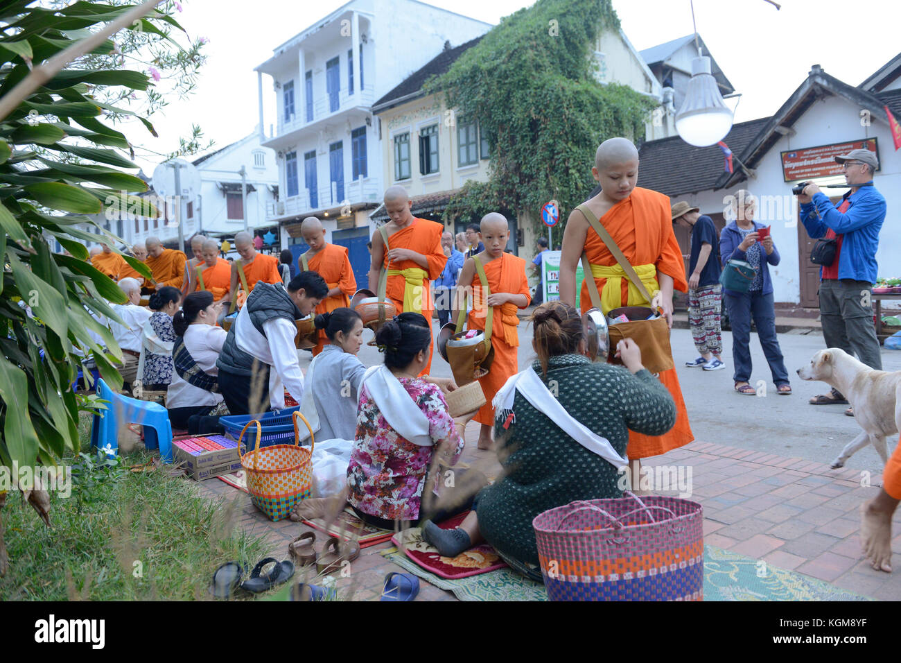 Monks going on alms round along the street in the morning of Luang ...