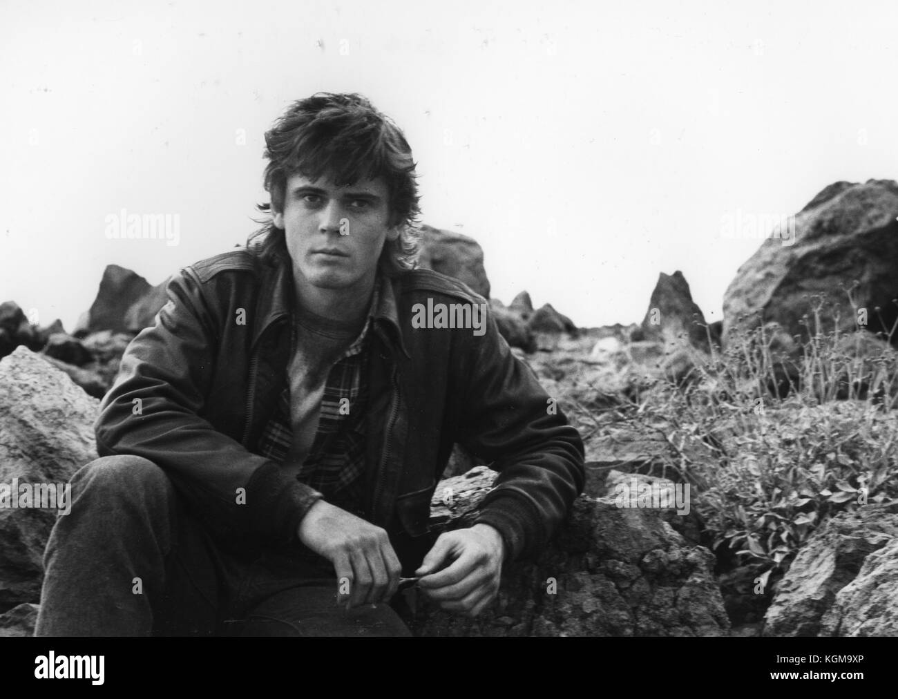 The Hitcher (1986) , C Thomas Howell Date: 1986 Stock Photo - Alamy
