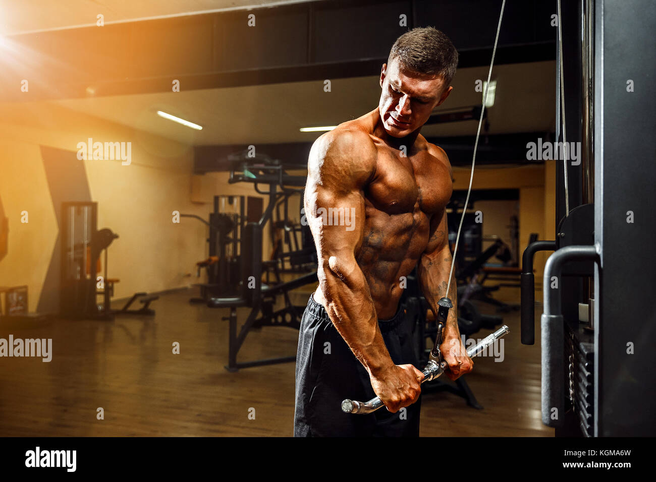 Human triceps hi-res stock photography and images - Alamy