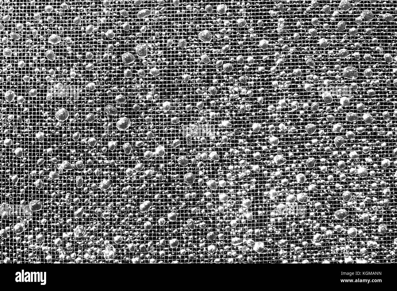 Rain drops on the glass and on the grid.Texture Stock Photo - Alamy