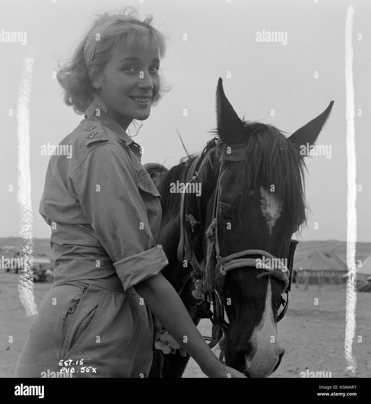 Sims sylvia hi-res stock photography and images - Alamy