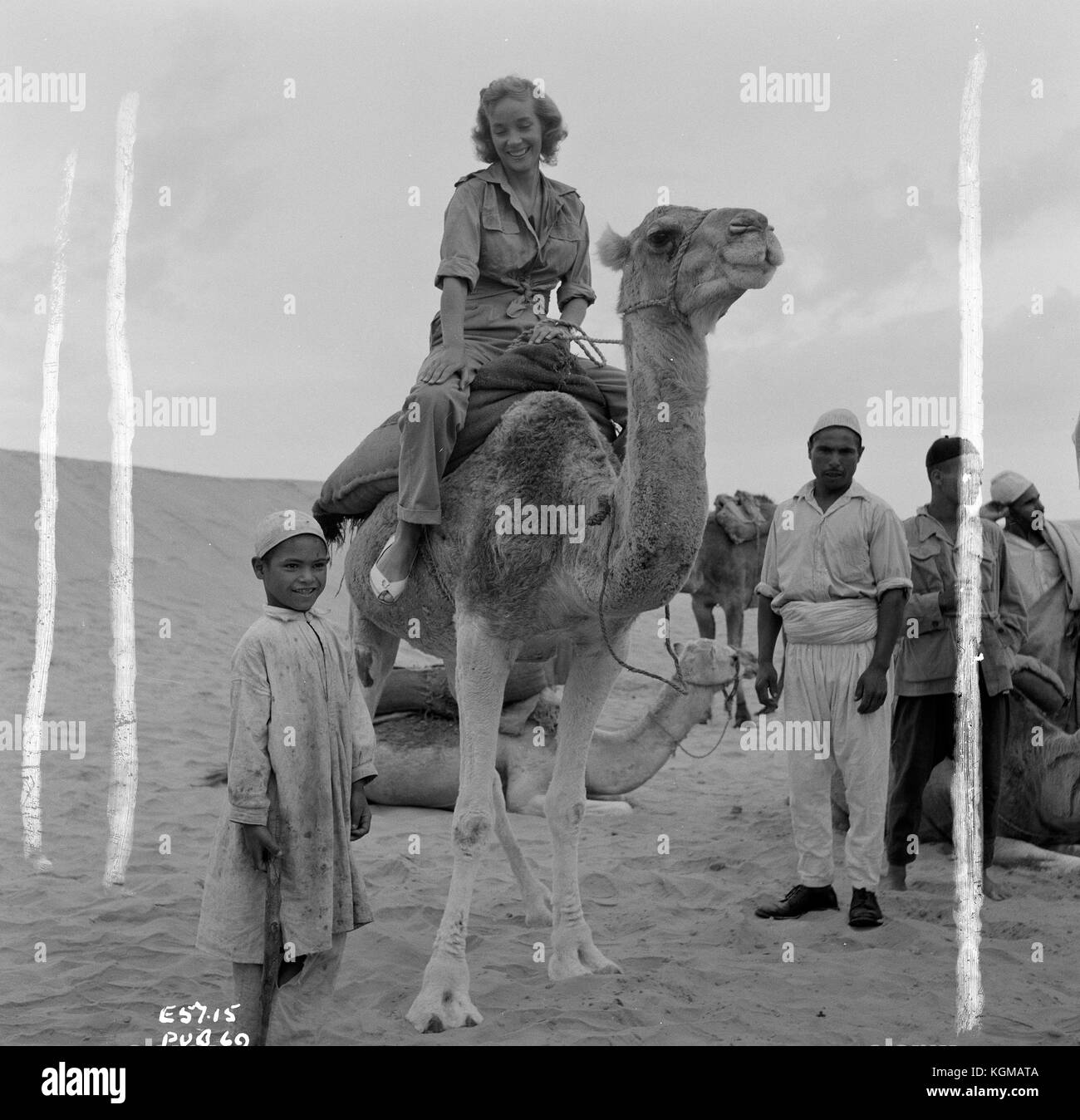Ice Cold in Alex (1957) , Sylvia Sims Date: 1957 Stock Photo - Alamy