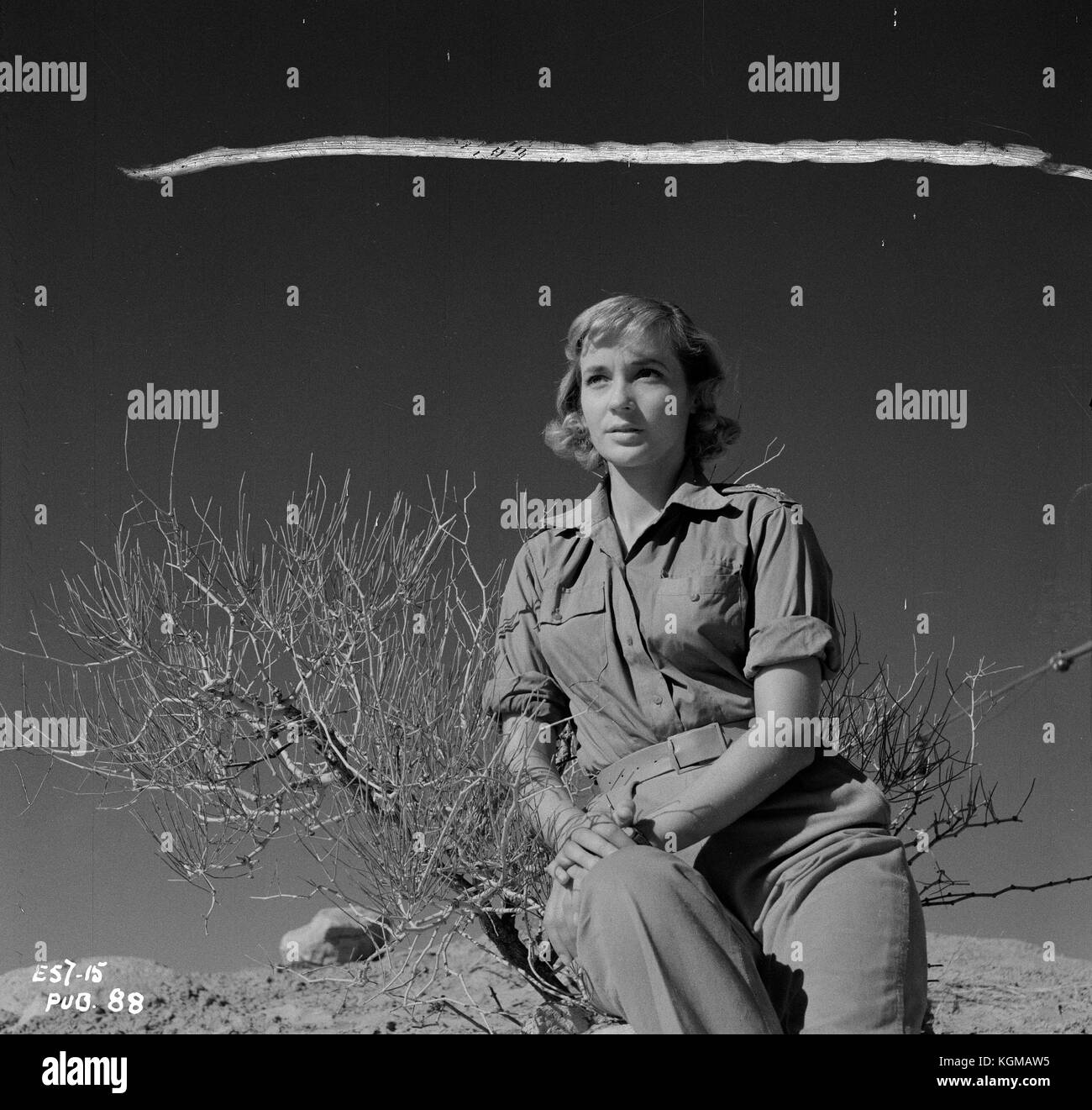 Ice Cold in Alex (1957) , Sylvia Sims Date: 1957 Stock Photo - Alamy