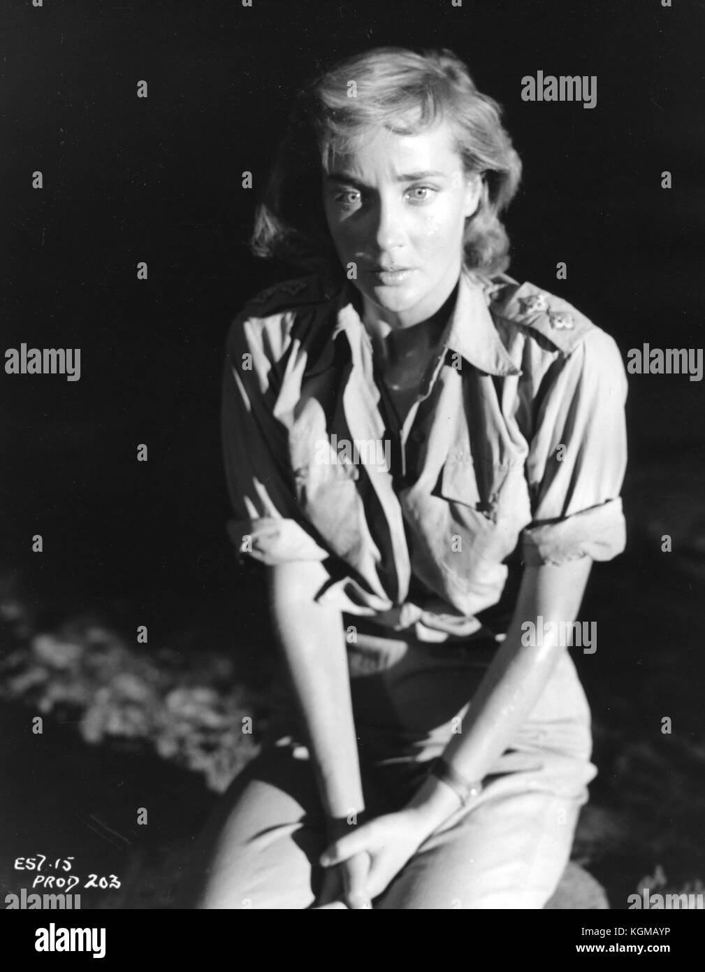 Ice Cold in Alex (1957) , Sylvia Sims Date: 1957 Stock Photo - Alamy