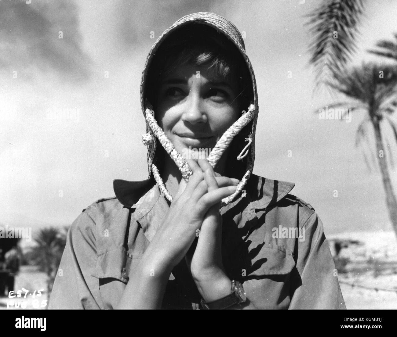 Ice Cold in Alex (1957) , Sylvia Sims Date: 1957 Stock Photo - Alamy