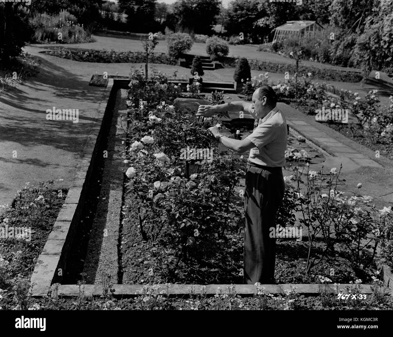The Ladykillers (1951 Stock Photo - Alamy
