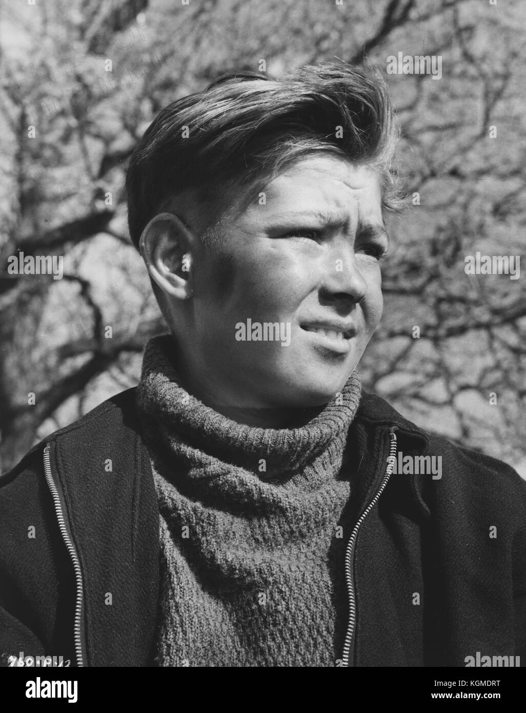 The Maggie (1954 Stock Photo - Alamy