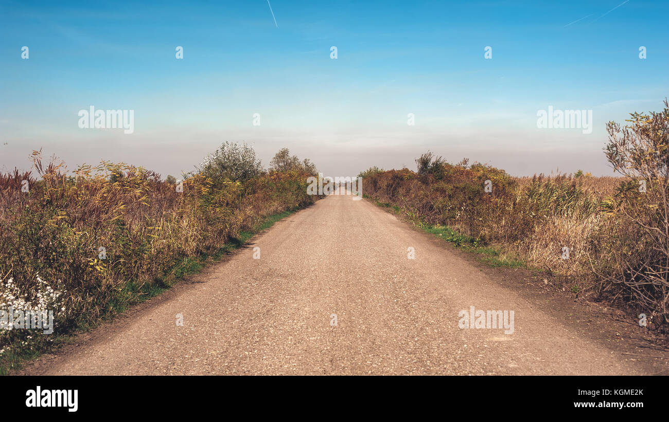 Asphalt road through landscape. Horizon view perspective Stock Photo ...
