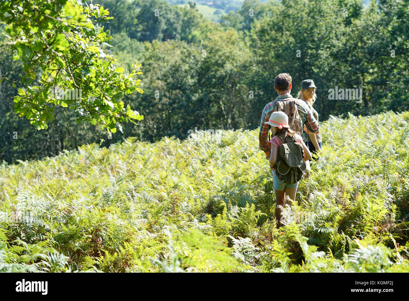 Walking in forest parents hi-res stock photography and images - Alamy