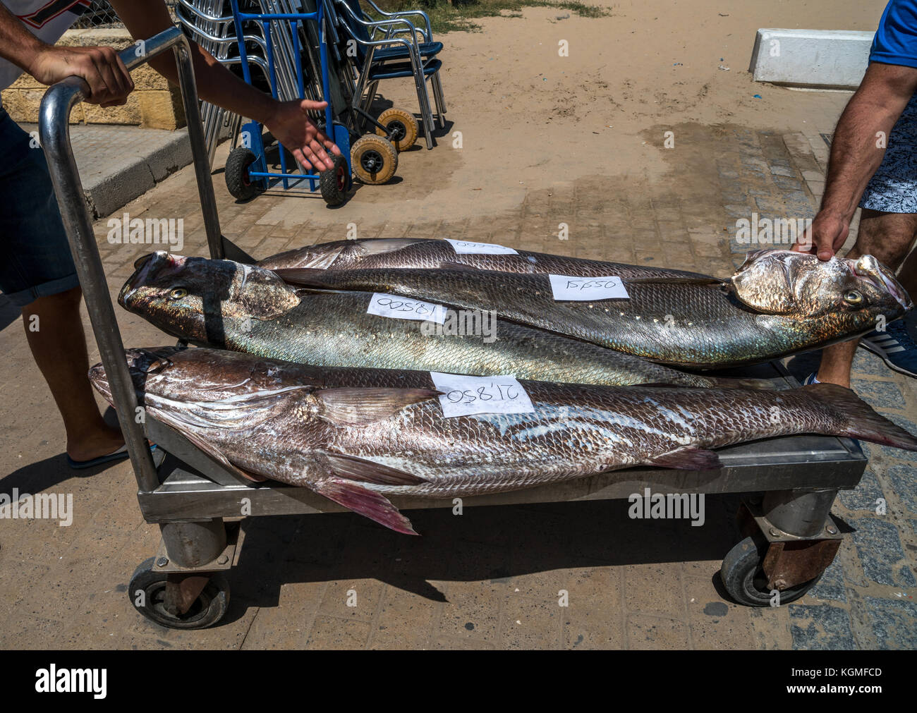 Fish delivery restaurants in hi-res stock photography and images - Alamy