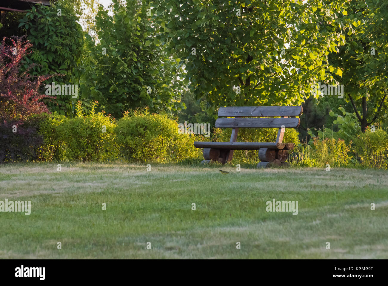 Old wooden garden bench hi-res stock photography and images - Alamy