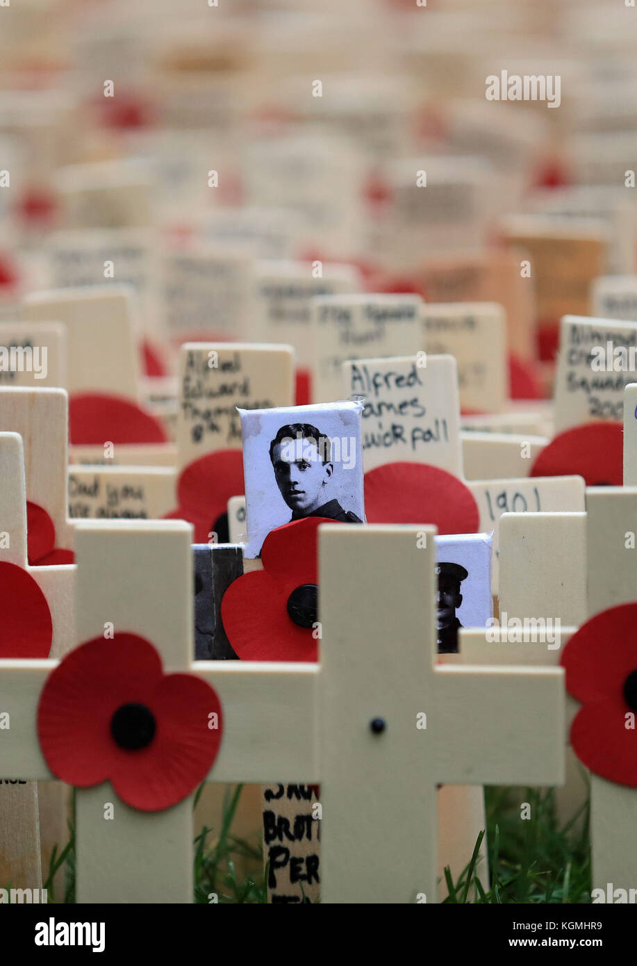Remembrance crosses in the Westminster Abbey Field of Remembrance in ...