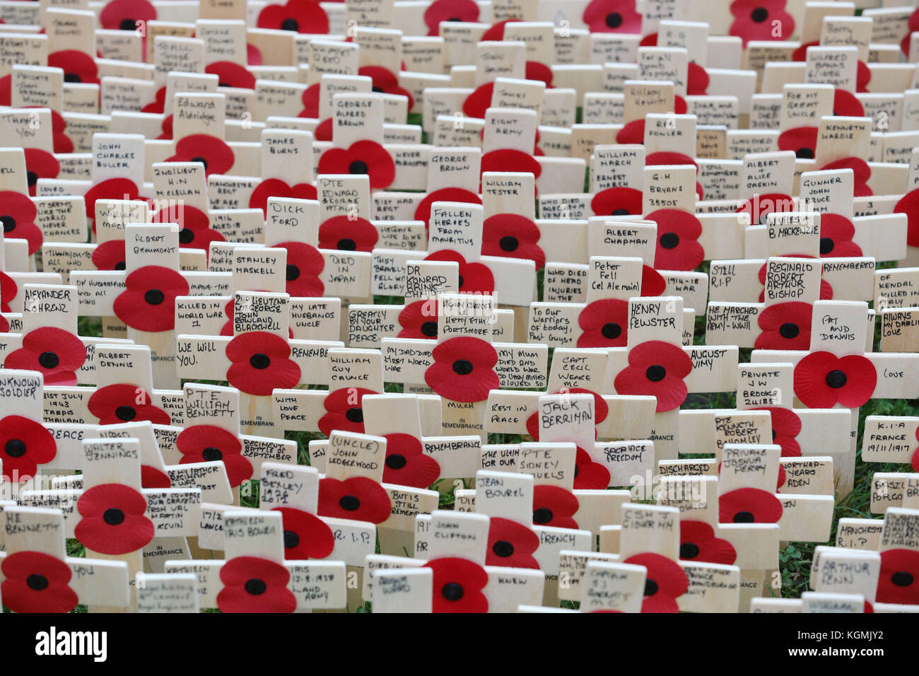 Remembrance crosses in the Westminster Abbey Field of Remembrance in ...