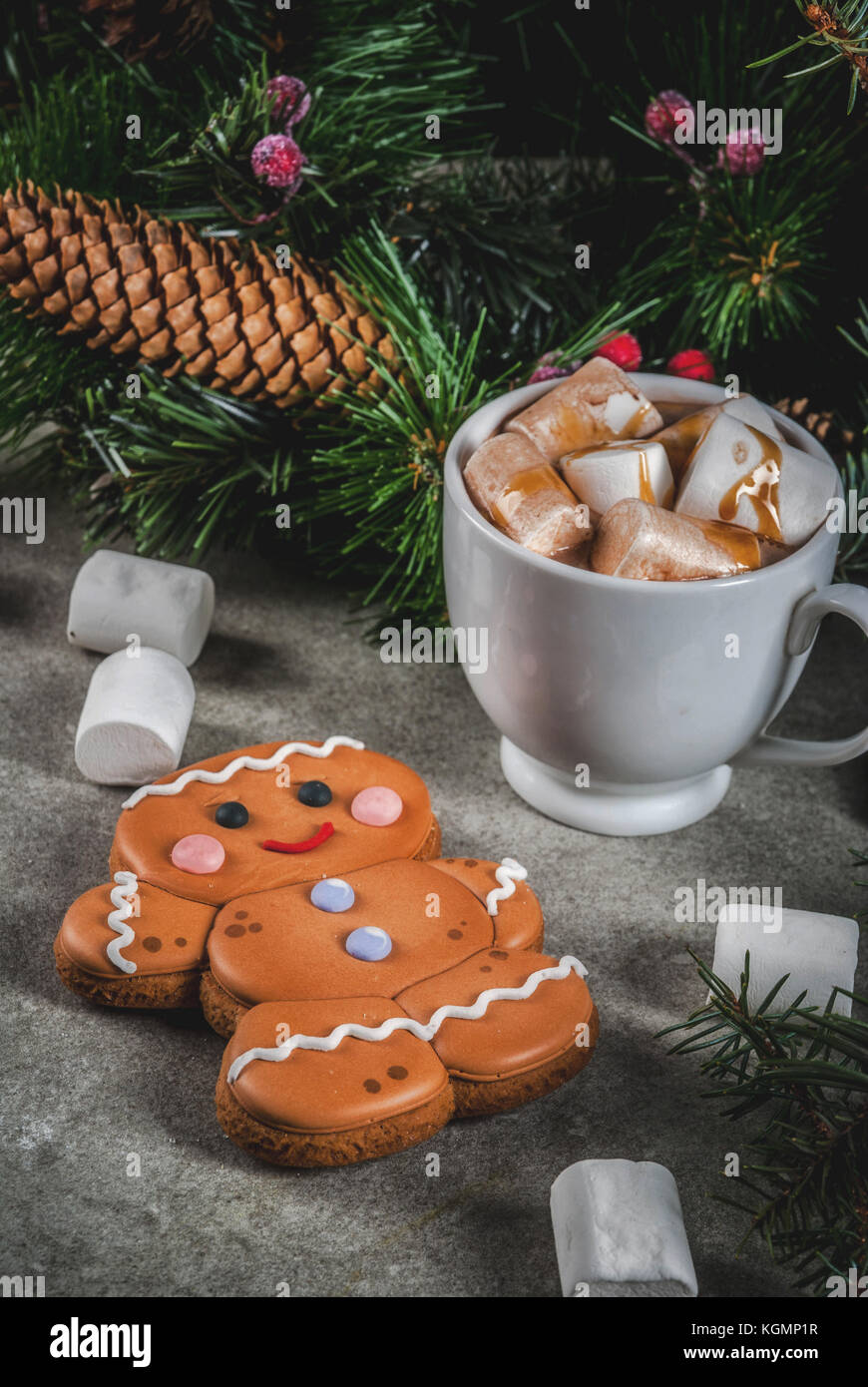 Traditional Christmas treat. Hot chocolate with marshmallow ...