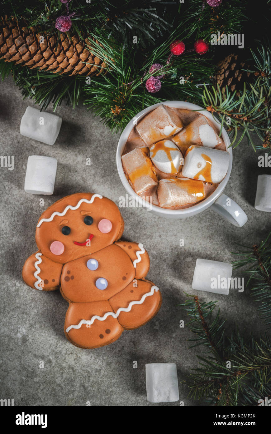 Traditional Christmas treat. Hot chocolate with marshmallow ...
