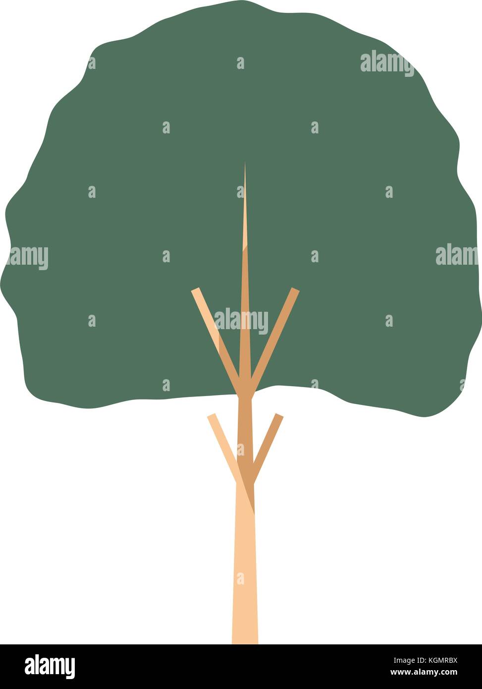 tree icon image Stock Vector Image & Art - Alamy