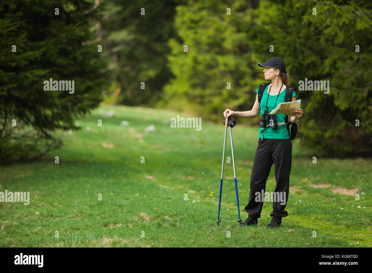 Hiker looking on map in forest Stock Photo - Alamy
