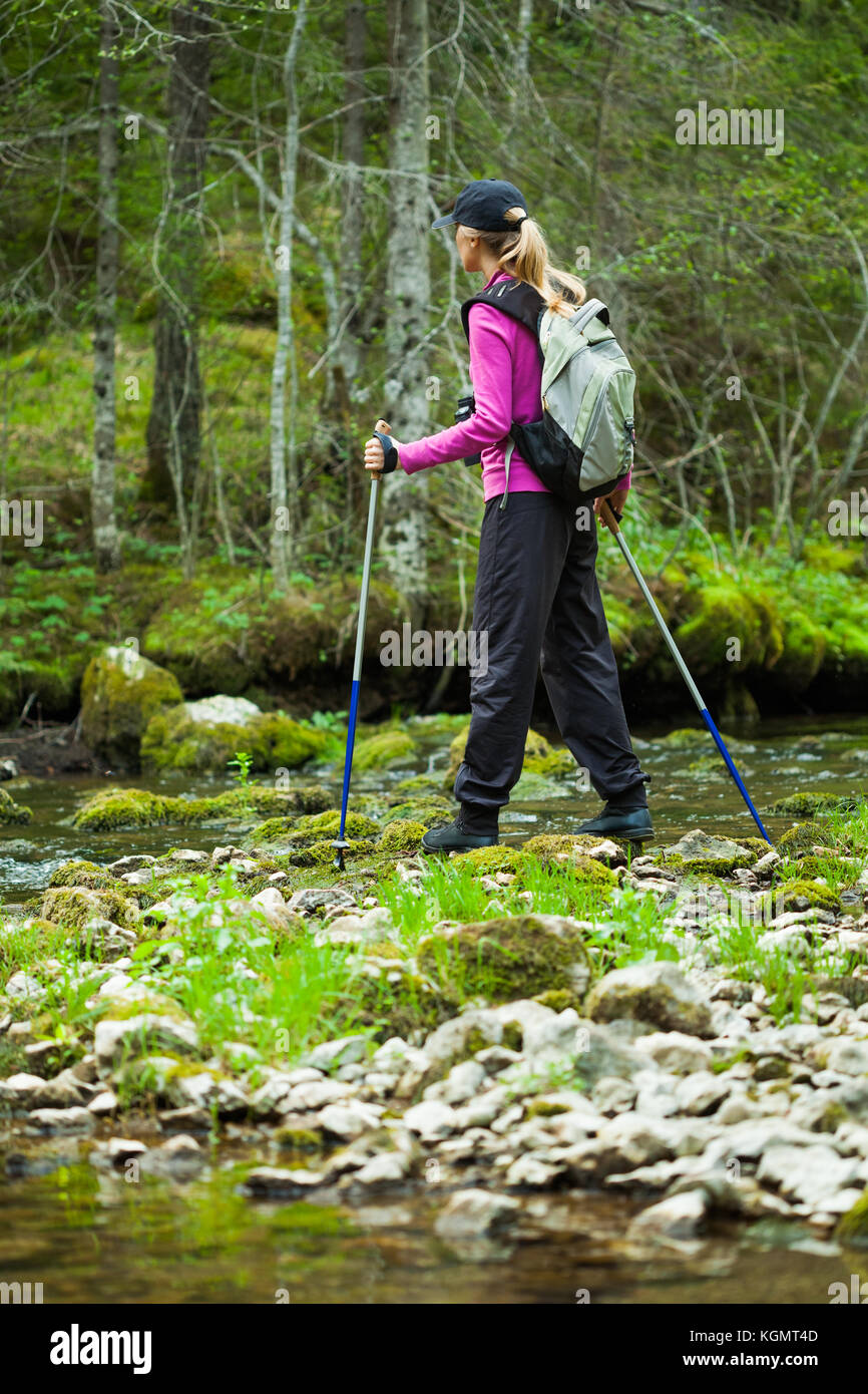 Hiker in forest Stock Photo - Alamy