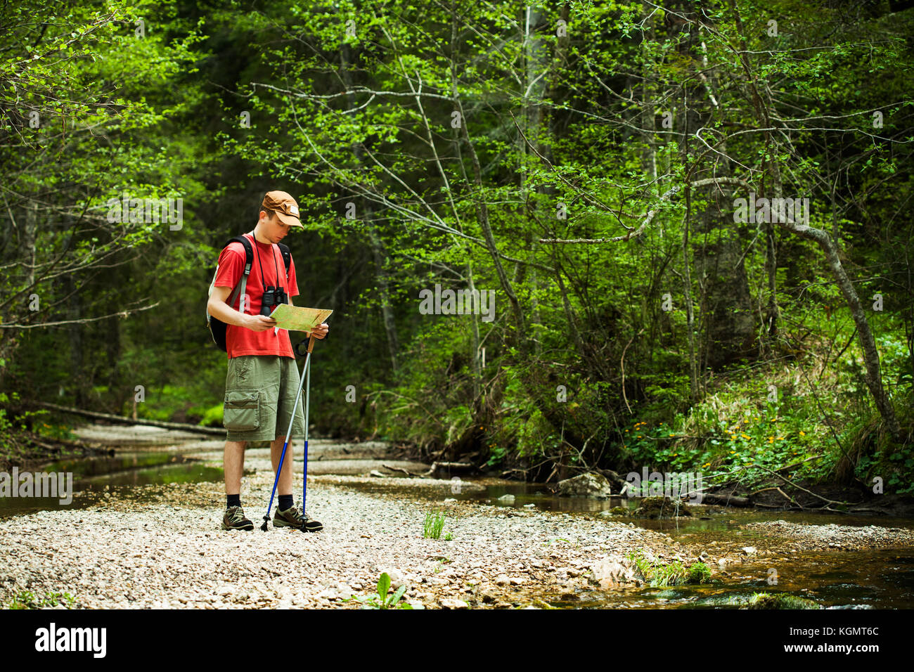 Hiker looking on map in forest Stock Photo - Alamy