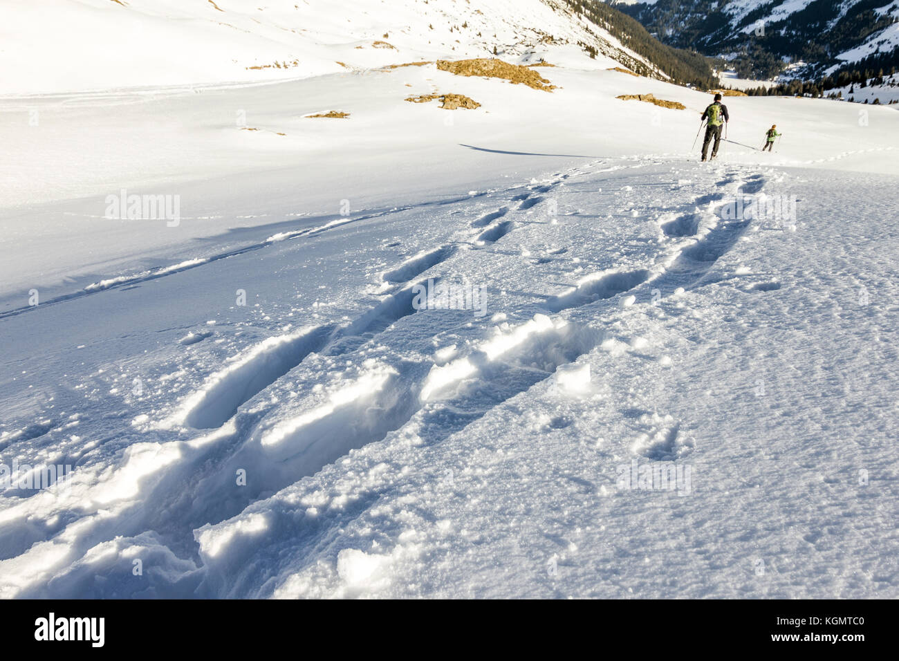 Two feet of snow hi-res stock photography and images - Alamy