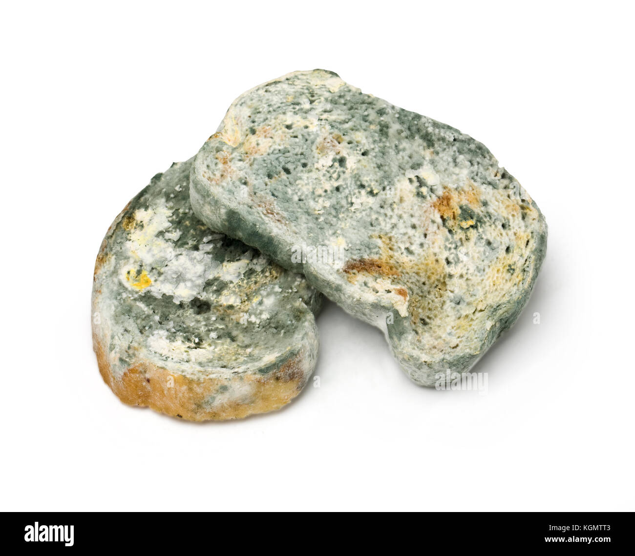 slices of bread covered with mold on white background.. with clipping ...