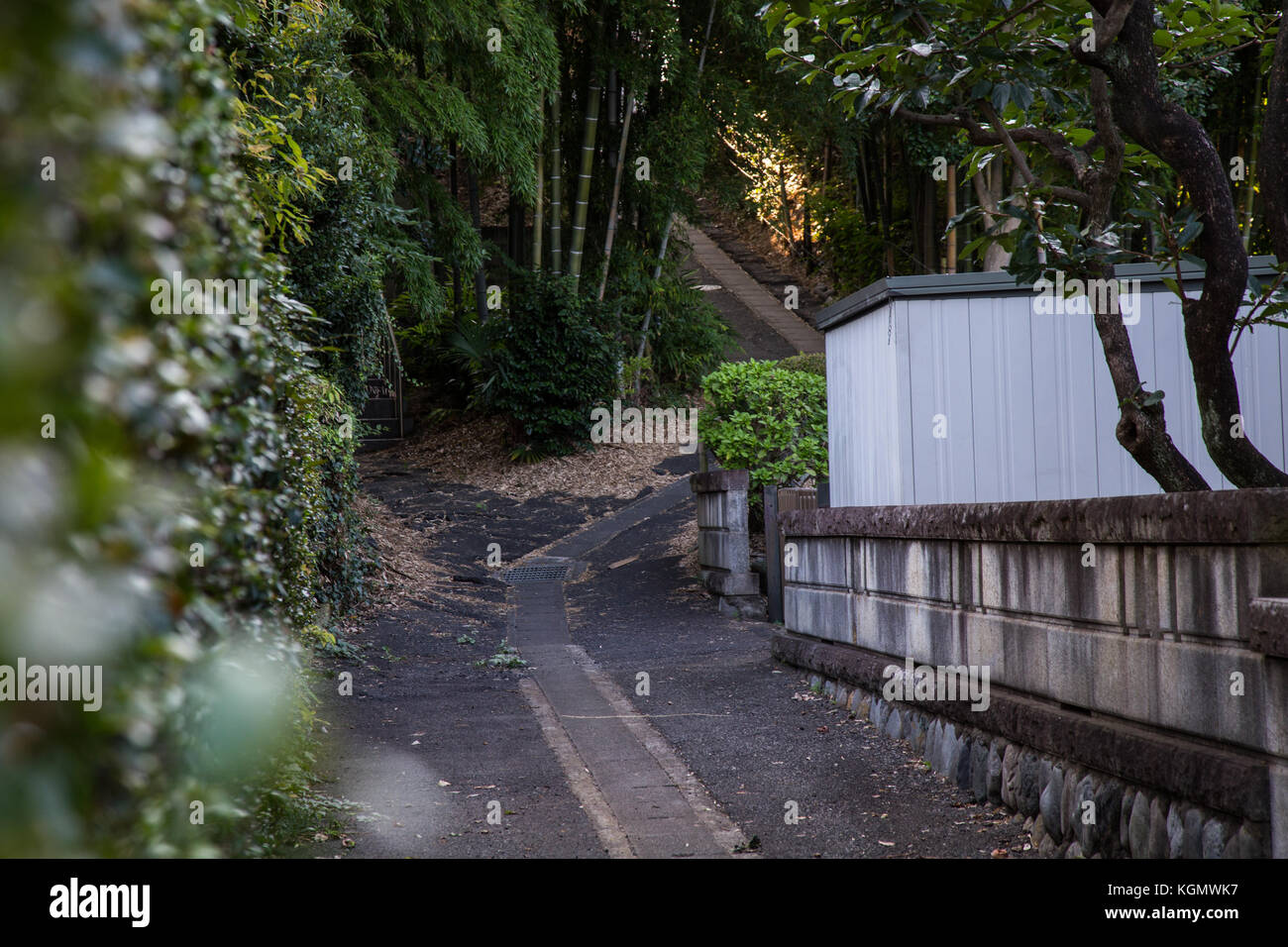 A walking path leads up a forested hill in Yamato, Japan. In Japan ...