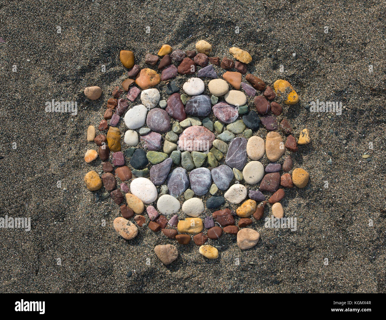 flower made with stones on the beach Stock Photo - Alamy