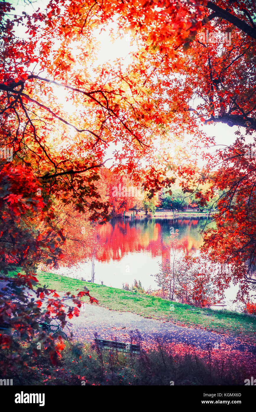 Autumn landscape with colorful foliage and lake in park, fall outdoor ...